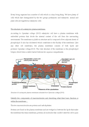 Assignment Activity Unit 5 BIOL 1121 - Assignment Activity Unit 5 Marwa Alhalabi University of ...