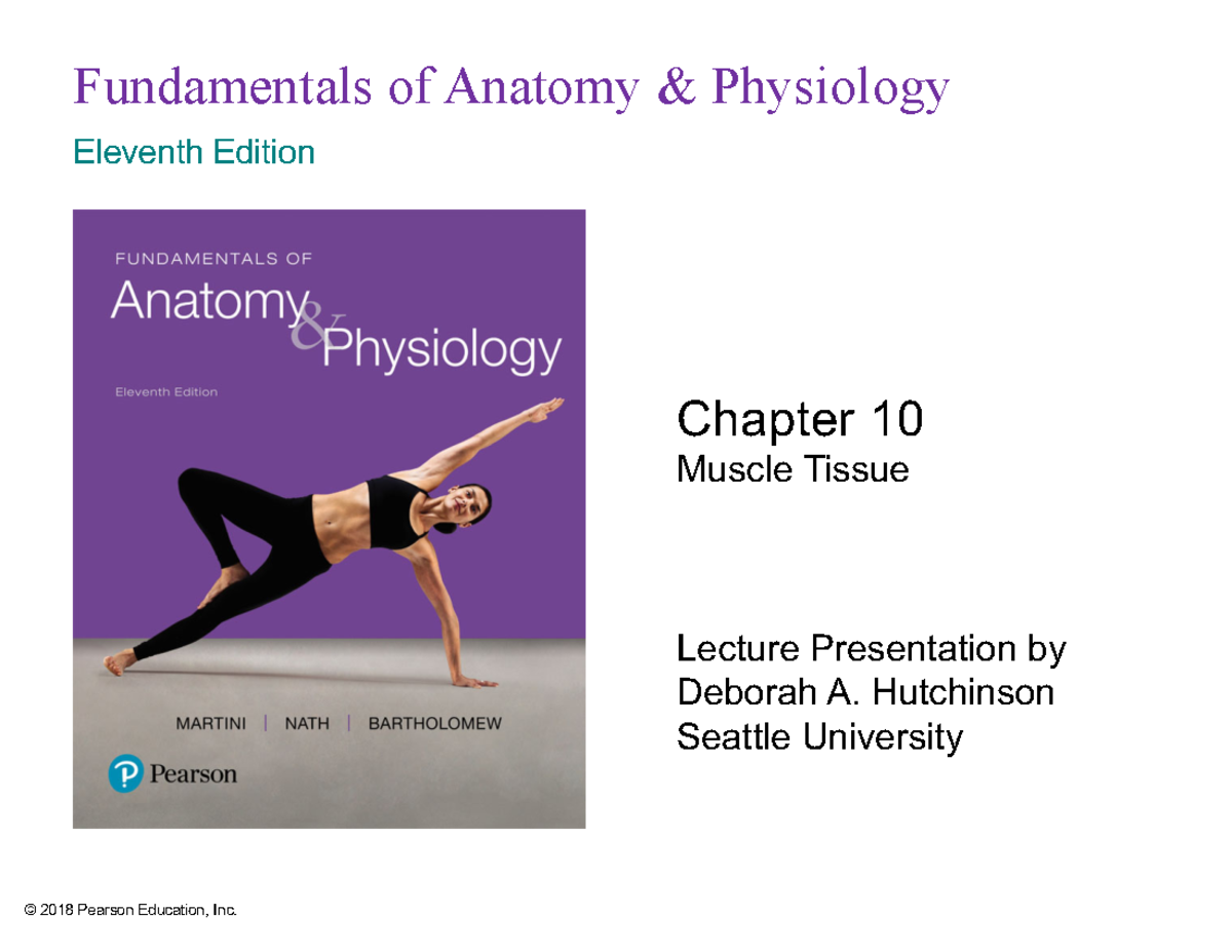 Fap11 ch10 lecture presentation - Fundamentals of Anatomy & Physiology ...