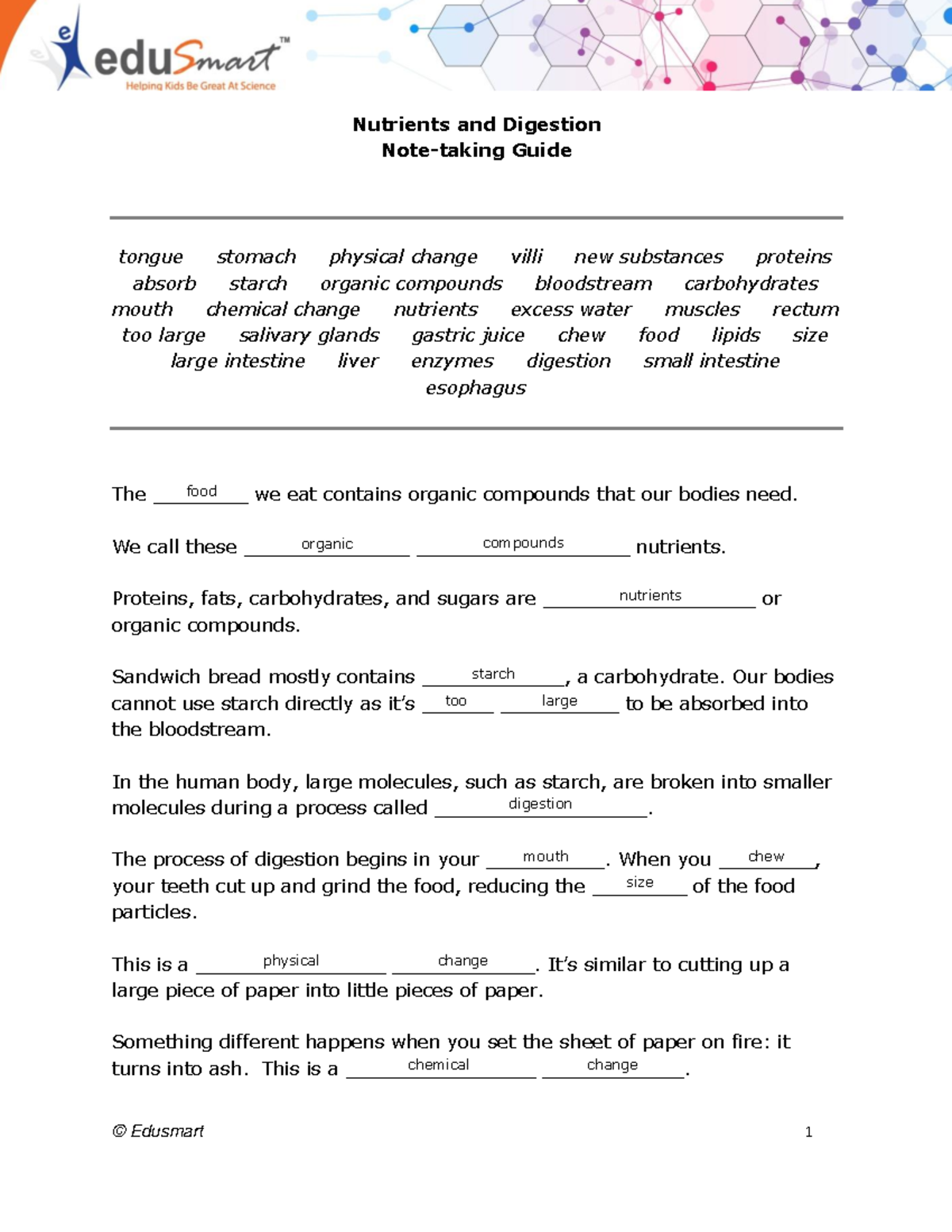 Turn this in - mr jefferson assigned this - Nutrients and Digestion ...