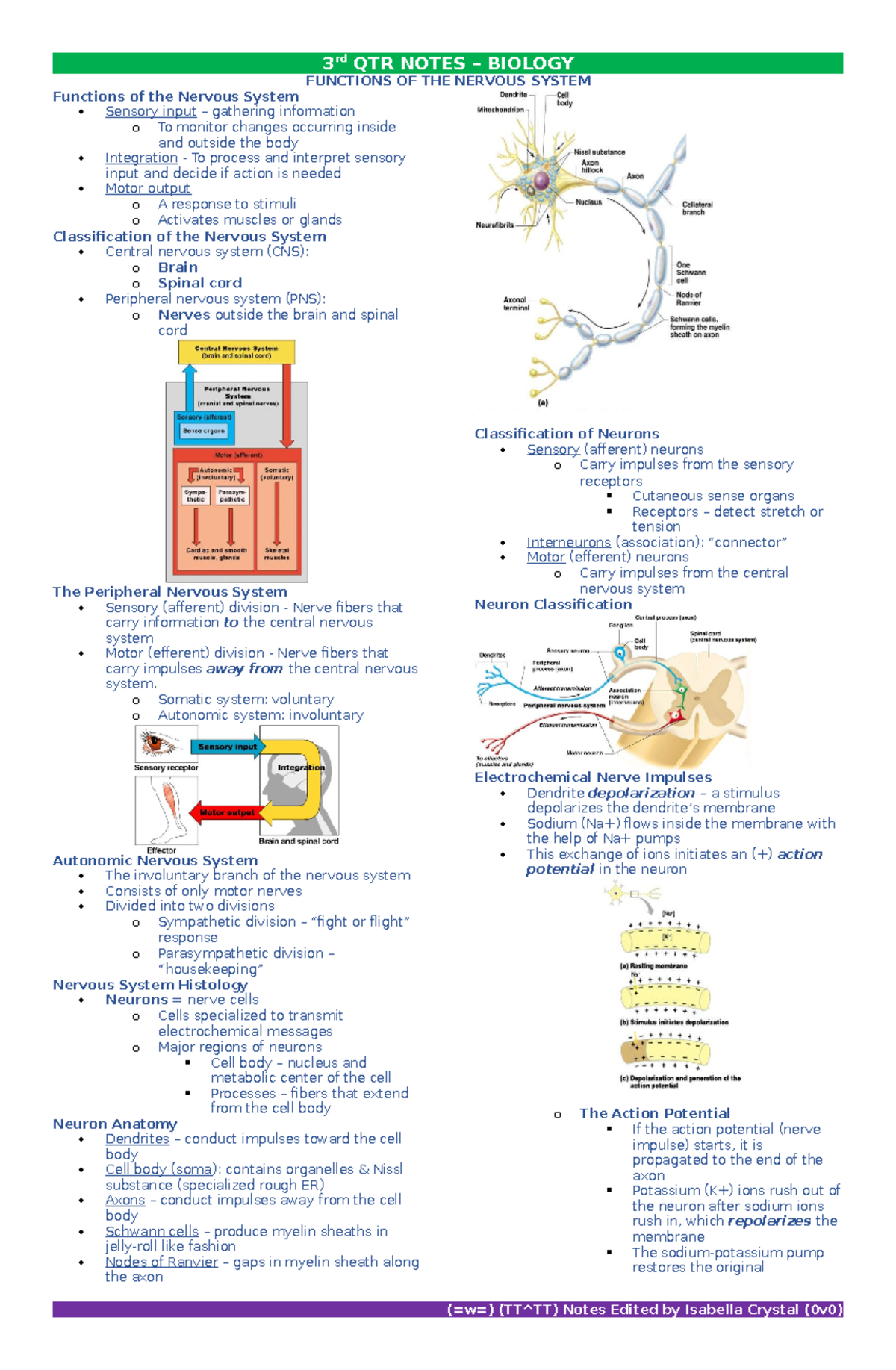 Biology N System LectureNts - 3 rd QTR NOTES – BIOLOGY FUNCTIONS OF THE ...