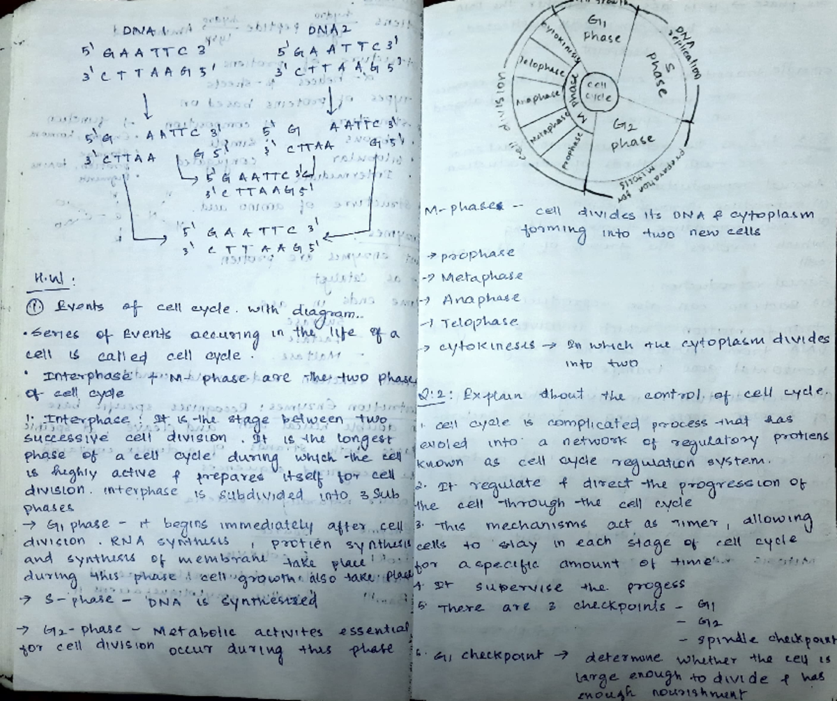 UNIT 2 Questions - Introduction to computational biology - Studocu
