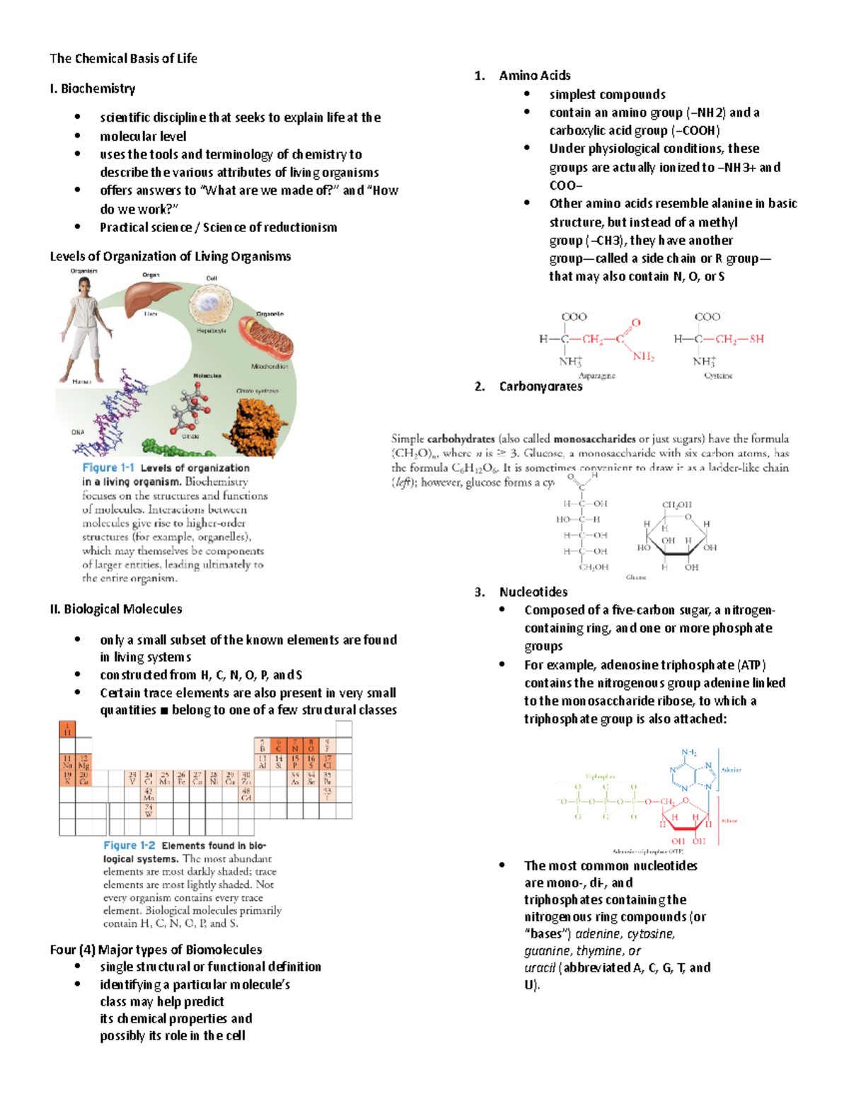 1 Biochemistry 2 - The Chemical Basis of Life I. Biochemistry ...