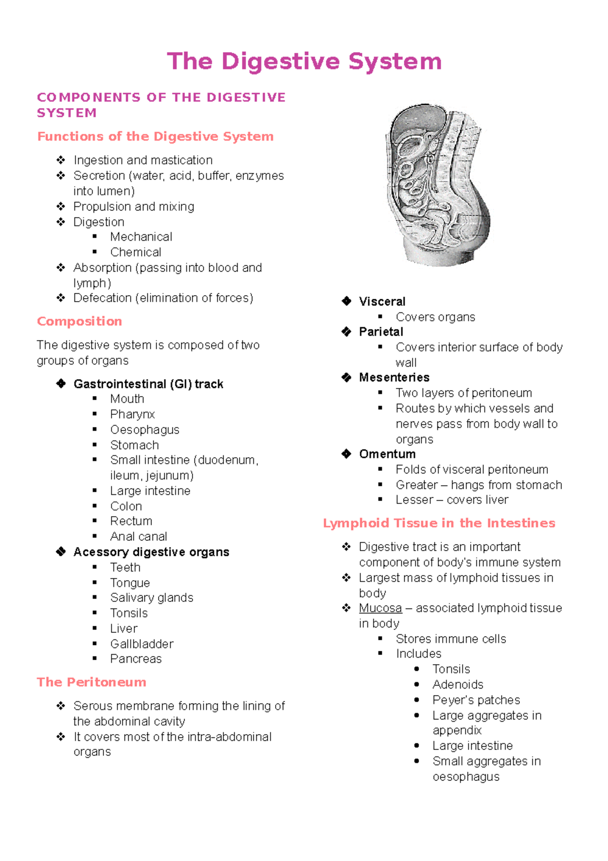 The Digesstive System - The Digestive System COMPONENTS OF THE ...