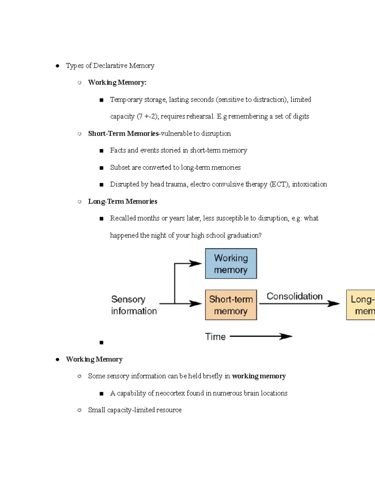 Memory Storage - Types of Declarative Memory Working Memory: Temporary ...