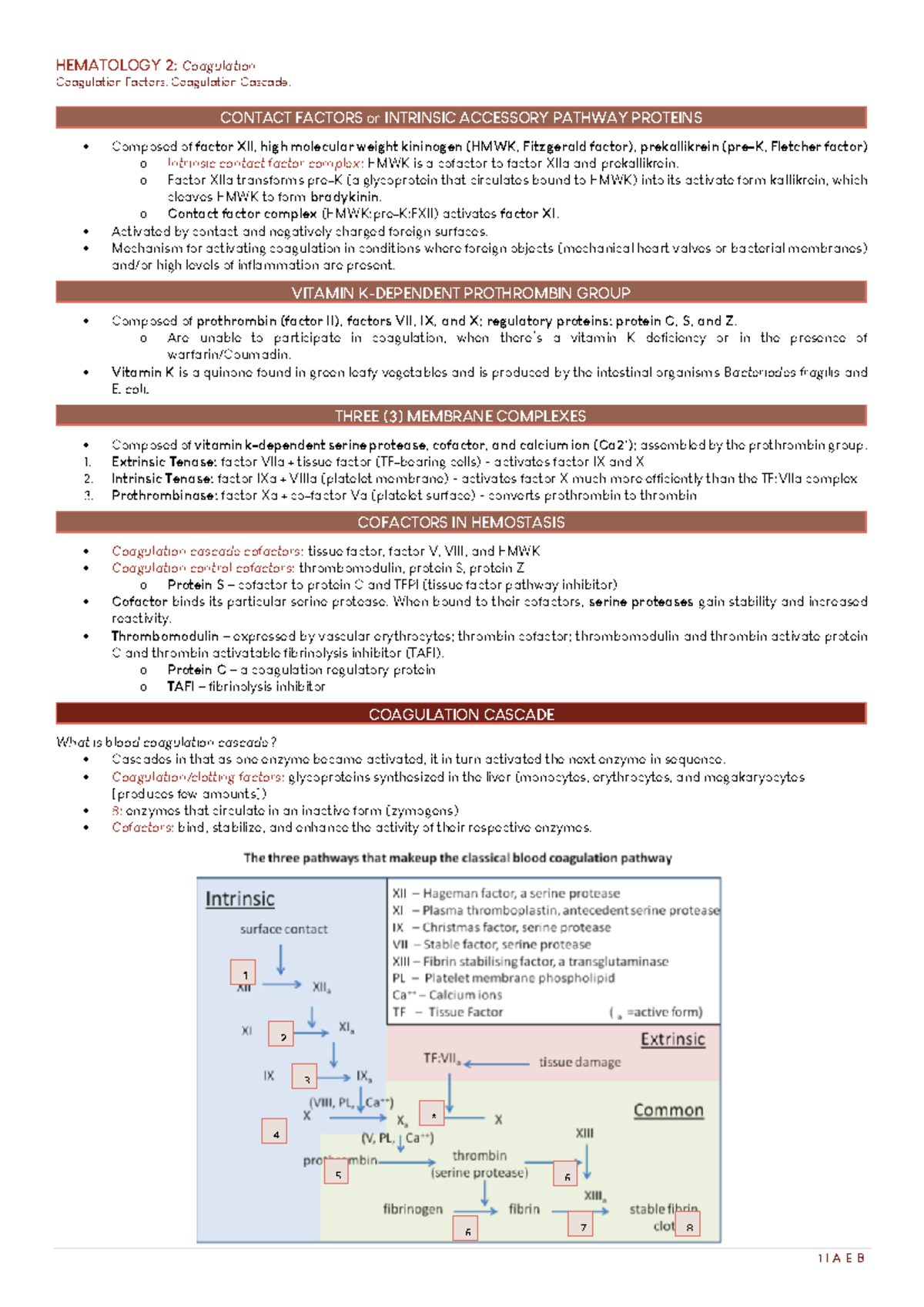 HEMA - Factors and Cascade (Coagulation, Part 1) - Coagulation Factors ...