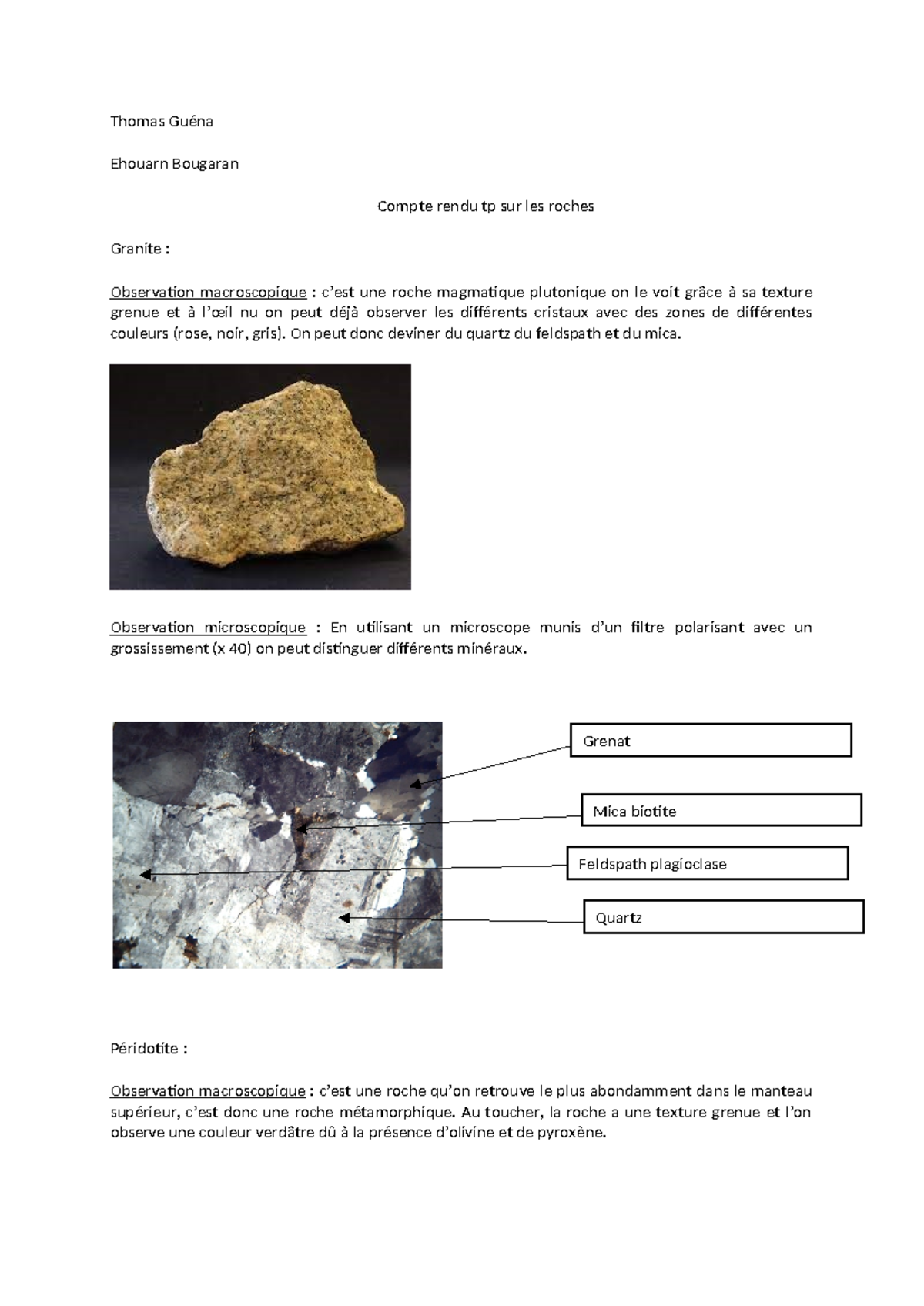 tp geologie terminale SVT - Thomas Guéna Ehouarn Bougaran Compte rendu ...