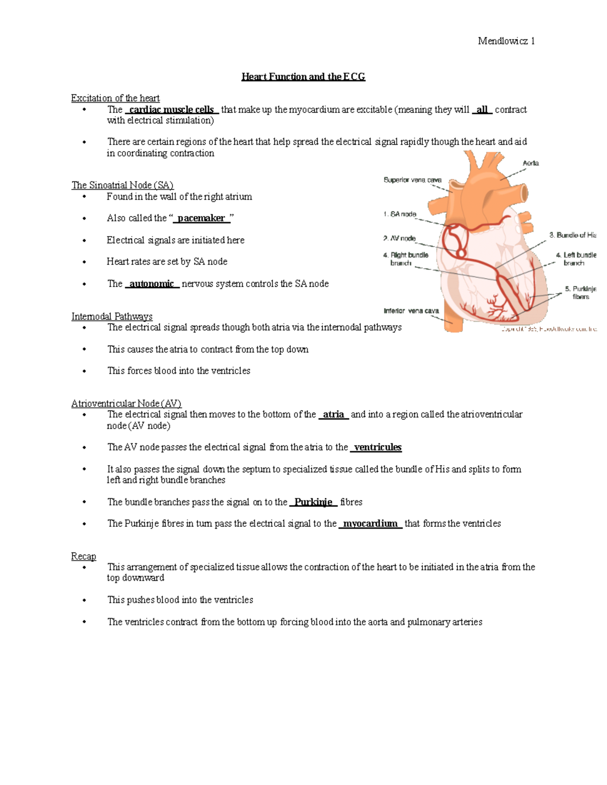 Heart Function & ECG - Mendlowicz 1 Heart Function and the ECG ...