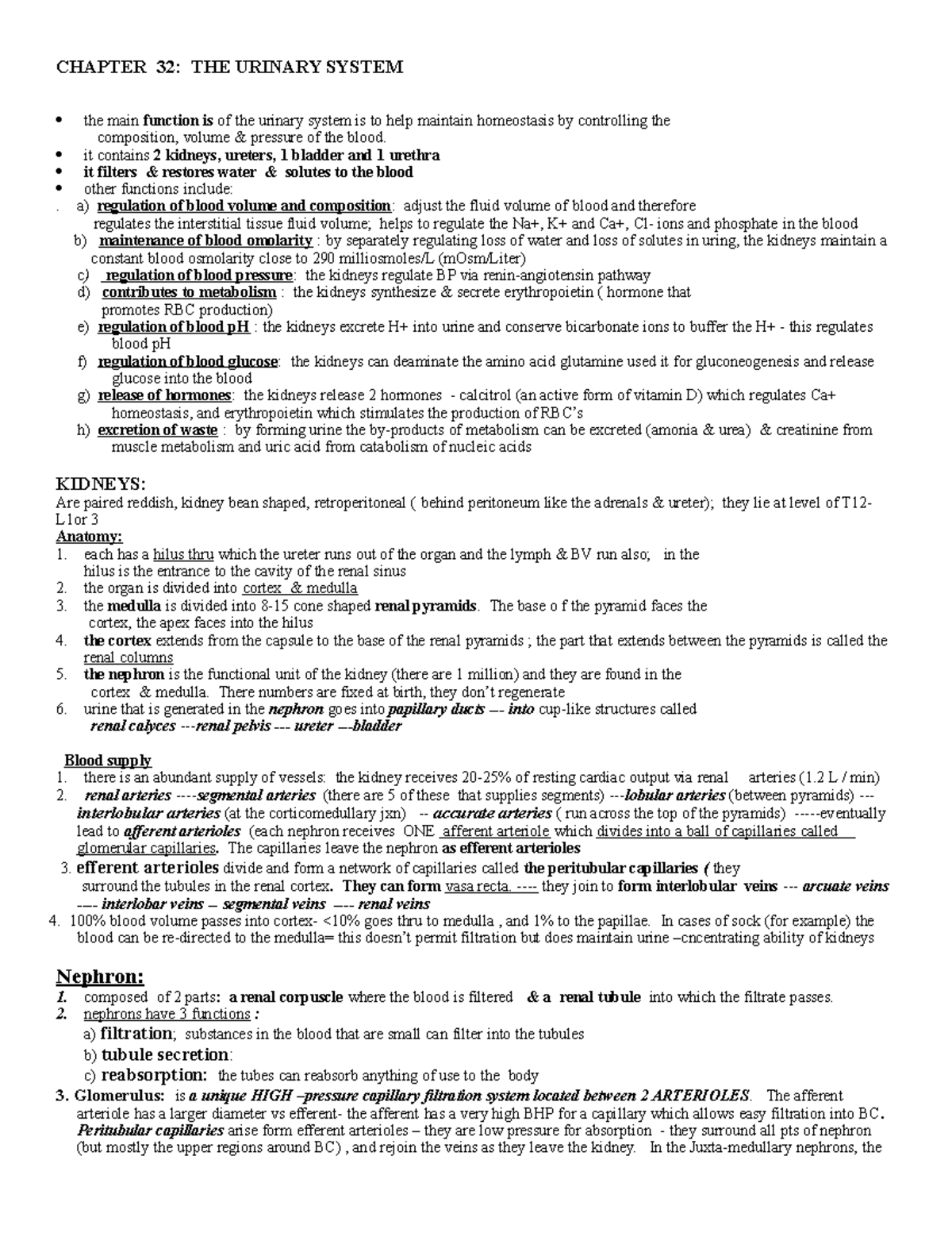 Adv AP chpt 32 urinary I - CHAPTER 32: THE URINARY SYSTEM the main ...