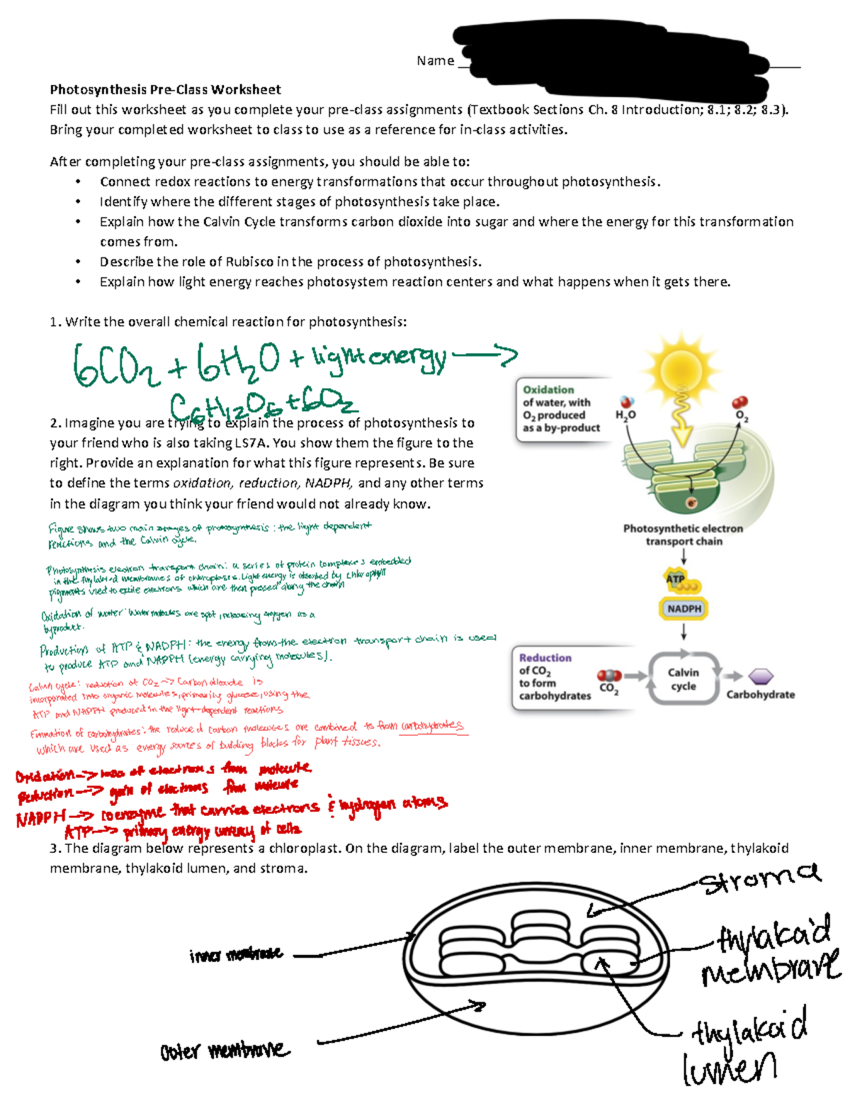 Week 4b Pre-Class Reading Guide - Photosynthesis - Name - Studocu