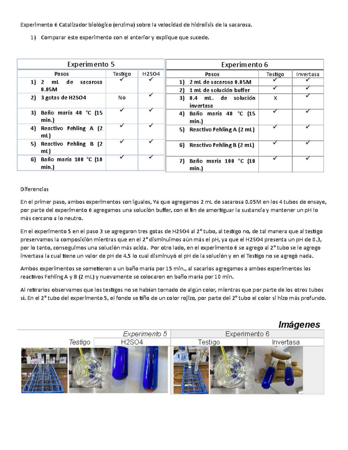 Ejercicio 6 - TAREA - Experimento 6 Catalizador biológico (enzima ...