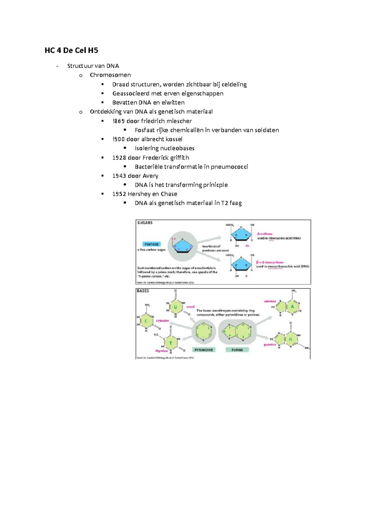 HC 4 De Cel H5 - Aantekeningen van H5 van het vak de Cel - HC 4 De Cel H Structuur van DNA o ...