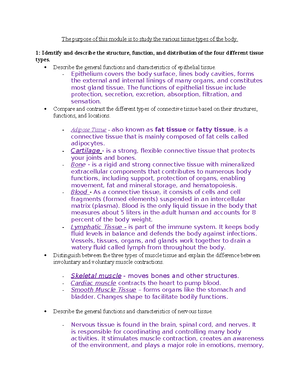 Histology ID - Tissue Identification Worksheet Identify the following ...