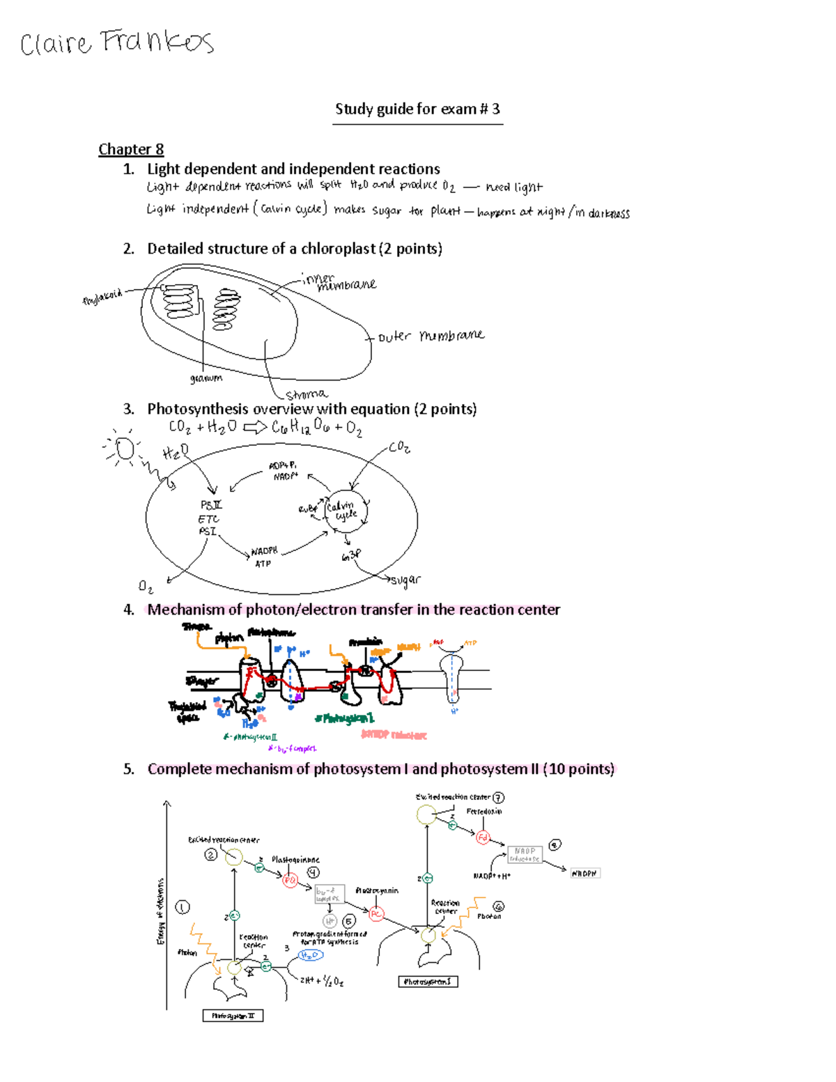 EXAM 3 Study Guide - BIO 198 - Study guide for exam # 3 Chapter 8 1 ...