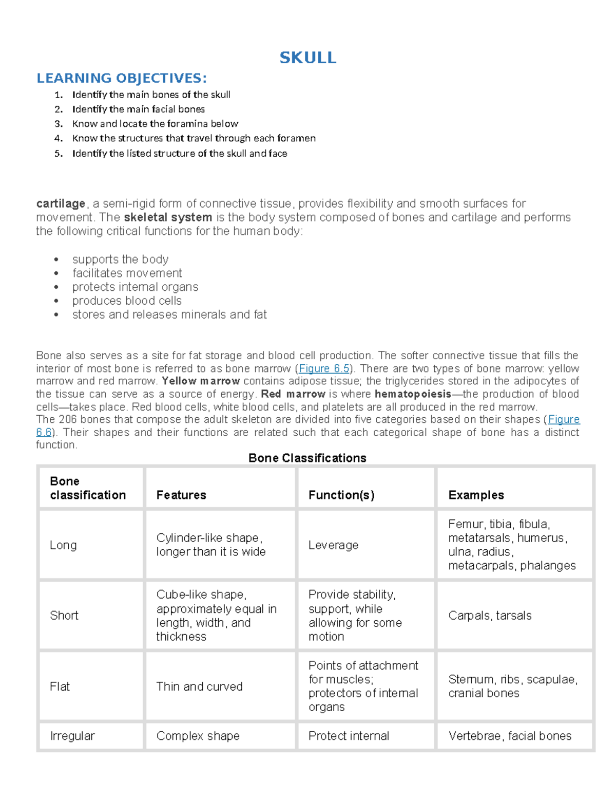 Skull Study Guide - Summary Human Anatomy - SKULL LEARNING OBJECTIVES ...