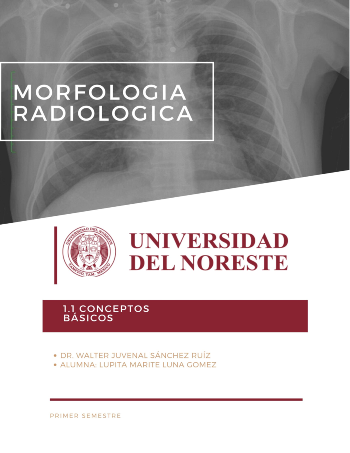 1.1 conceptos basicos - lo basico de radiologia - ¿Qué es percepción de ...