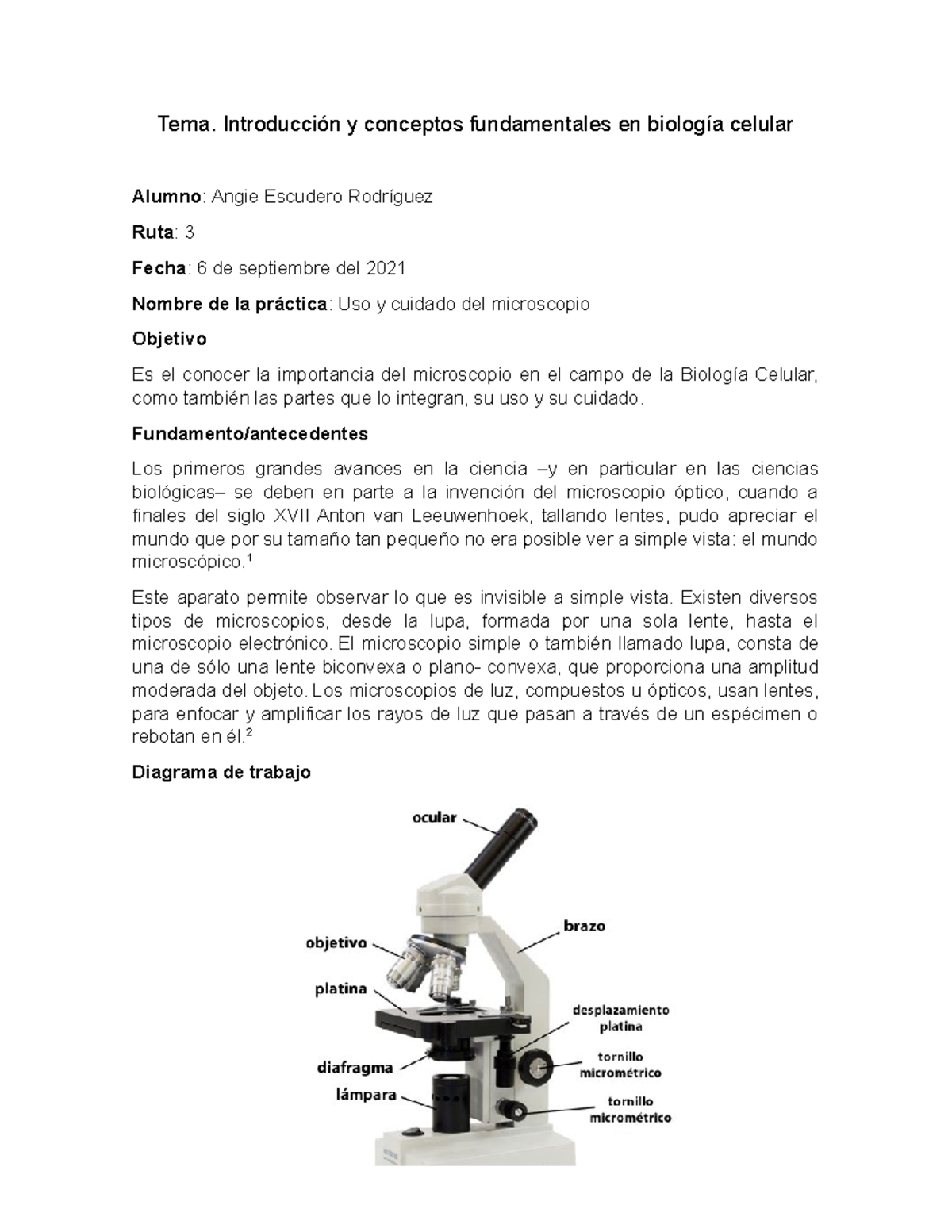 Bitácora 1 Biología Celular - Tema. Introducción y conceptos ...