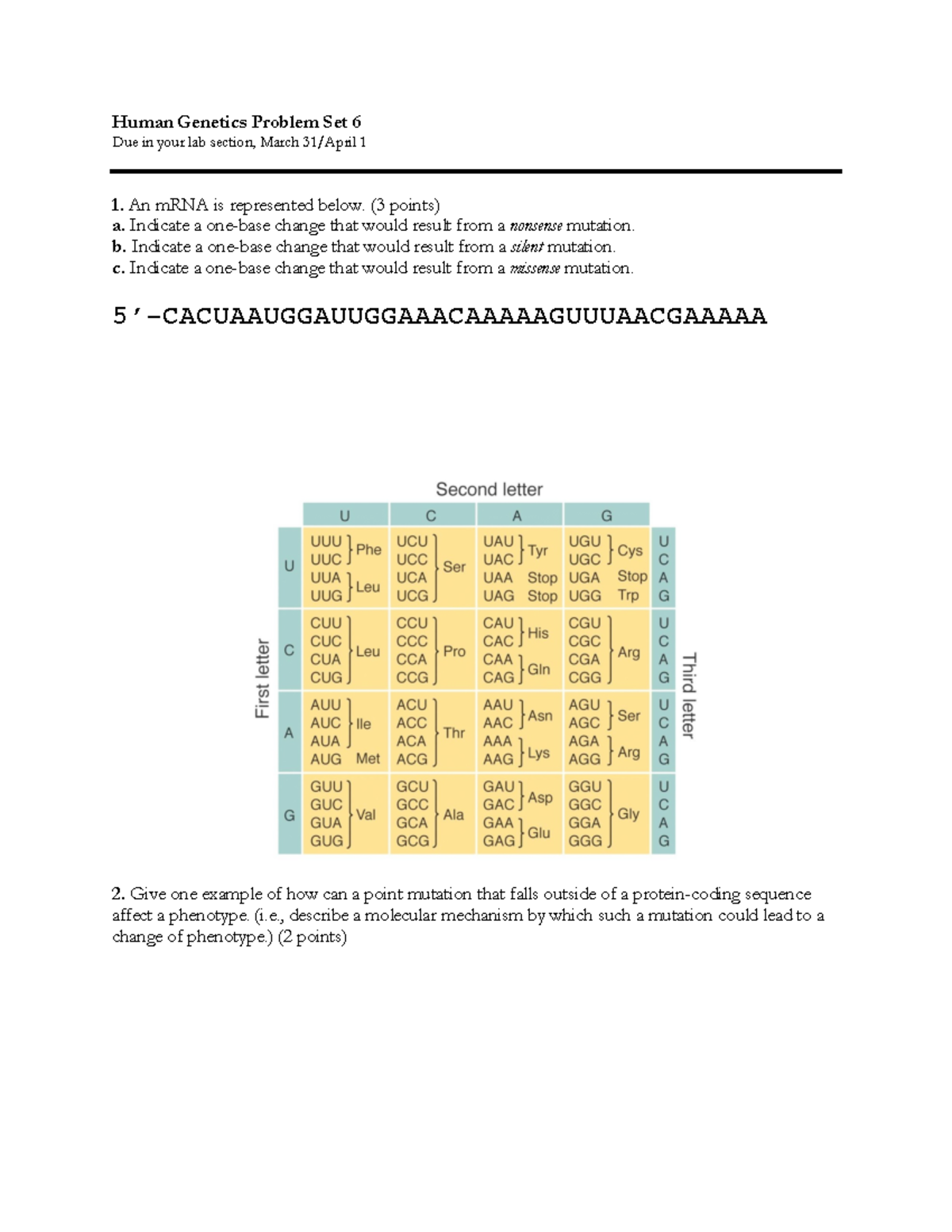 Human Genetics Problem Set 6 - (3 points) a. Indicate a one-base change ...