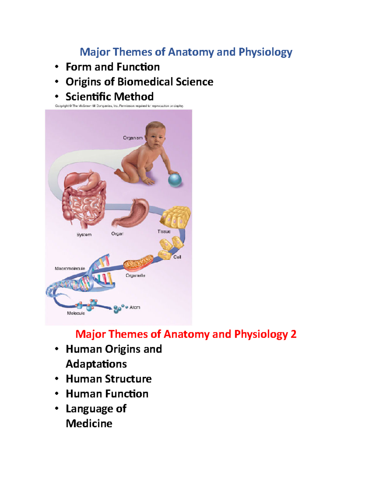 Chap1-12 Anatomy 2 - Lecture note chap 1 - Major Themes of Anatomy and ...