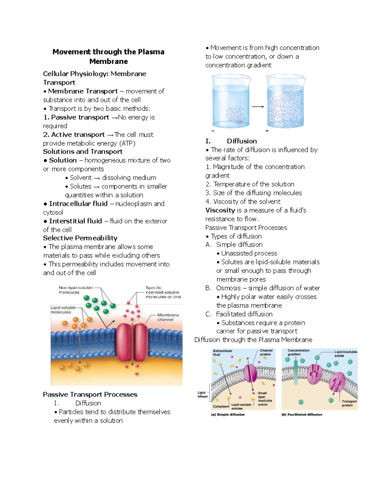 movement of plasma membranes - Movement through the Plasma Membrane ...