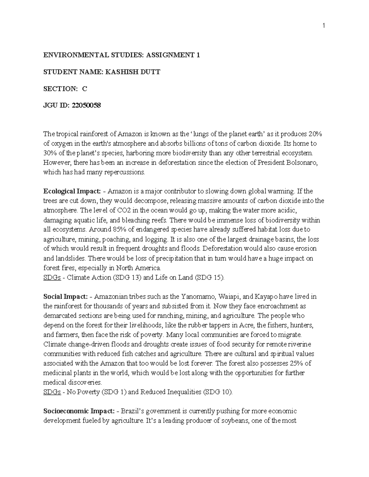 Essay on the state of the Amazon forest - ENVIRONMENTAL STUDIES ...