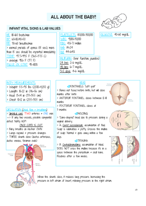 Module 2 The Normal Newborn - "Neonate" for first 28 days after birth ...