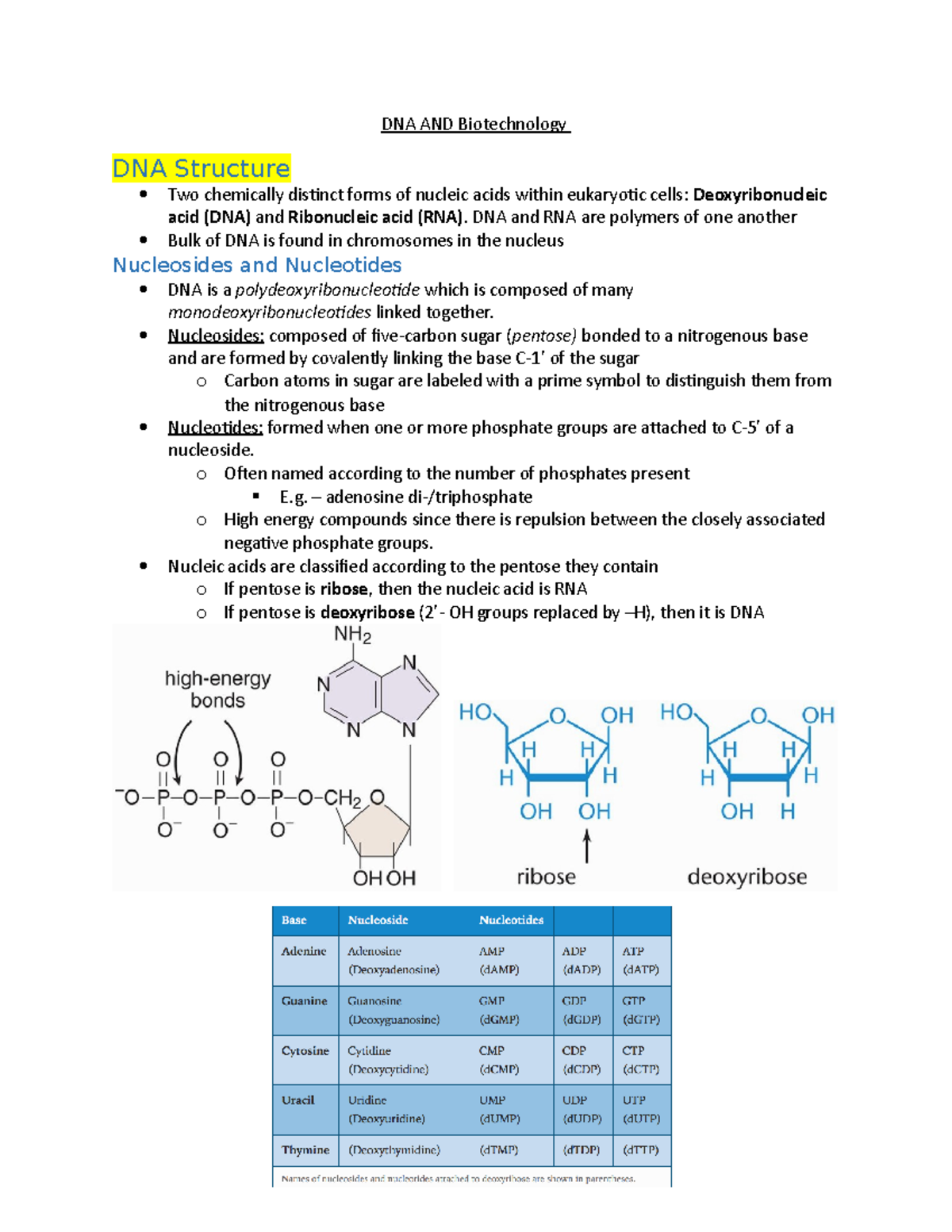 DNA AND Biotechnology - Comprehensive Biochemistry Notes - DNA AND ...