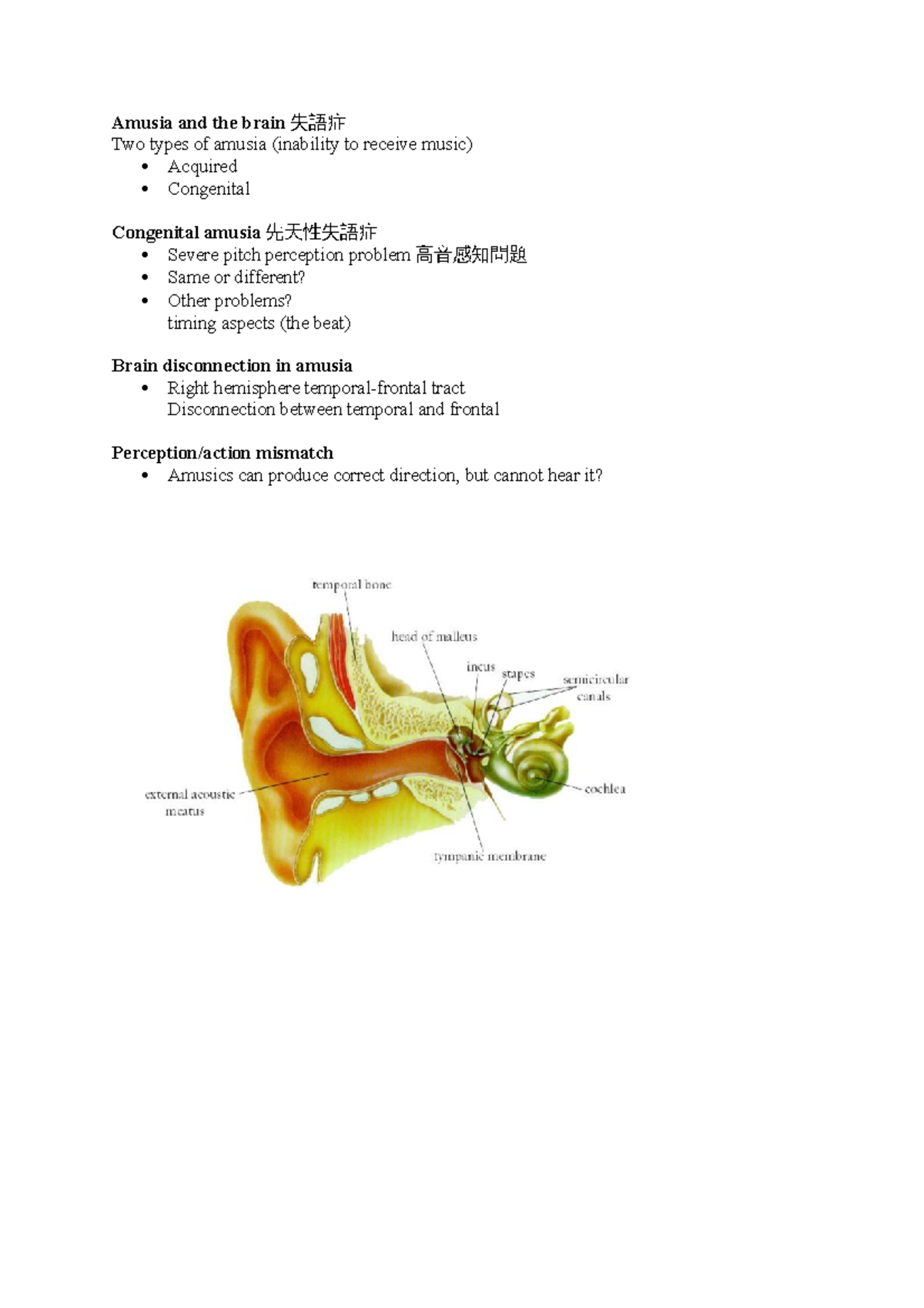 Week 9 - Lecturer: Jon Prince - Amusia and the brain 失語症 Two types of ...
