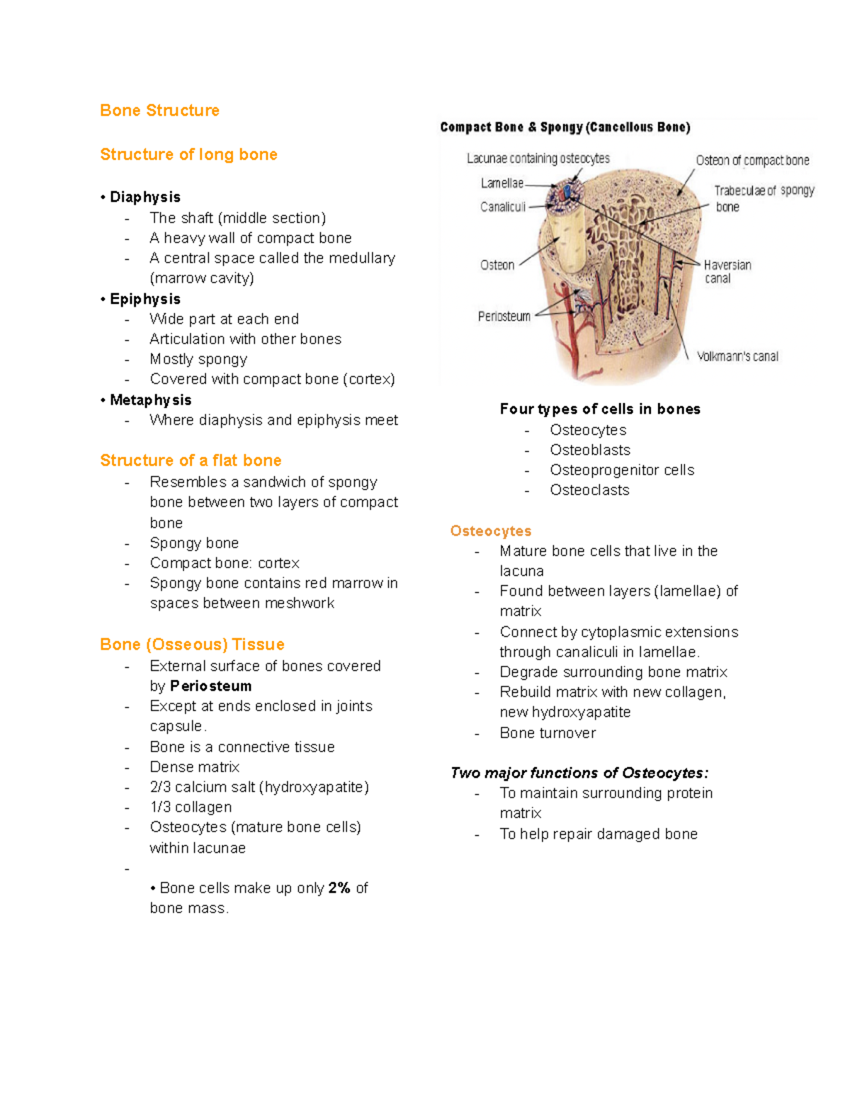 Some bones - Bone Structure Structure of long bone Diaphysis The shaft ...