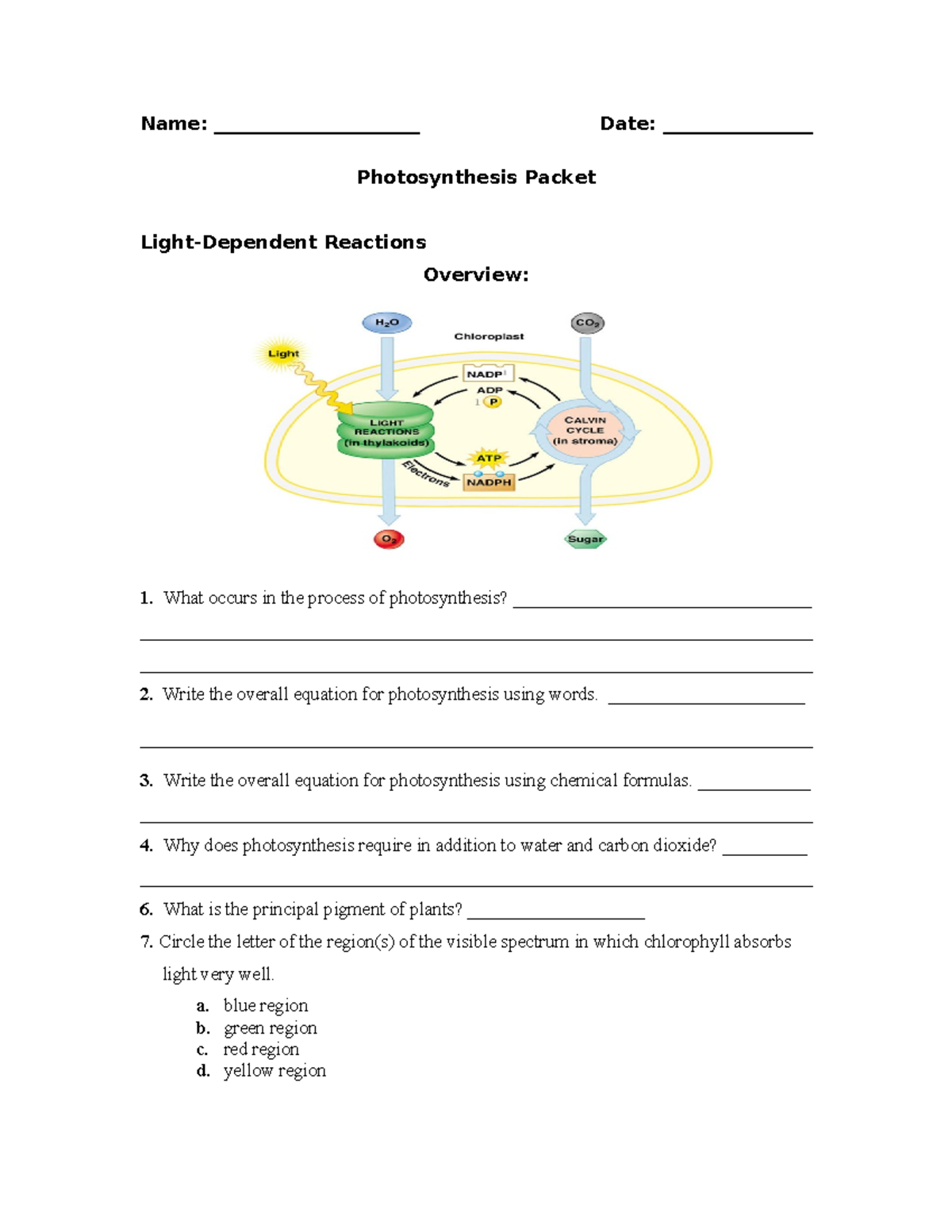 Photosynthesis Worksheet version 2 - Name: ______________________ Date