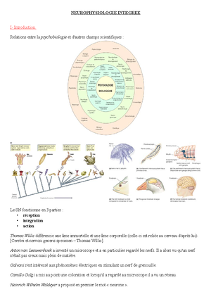 3- Tonus musculaire et posture - S5 – Module Neurophysiologie Intégrée ...