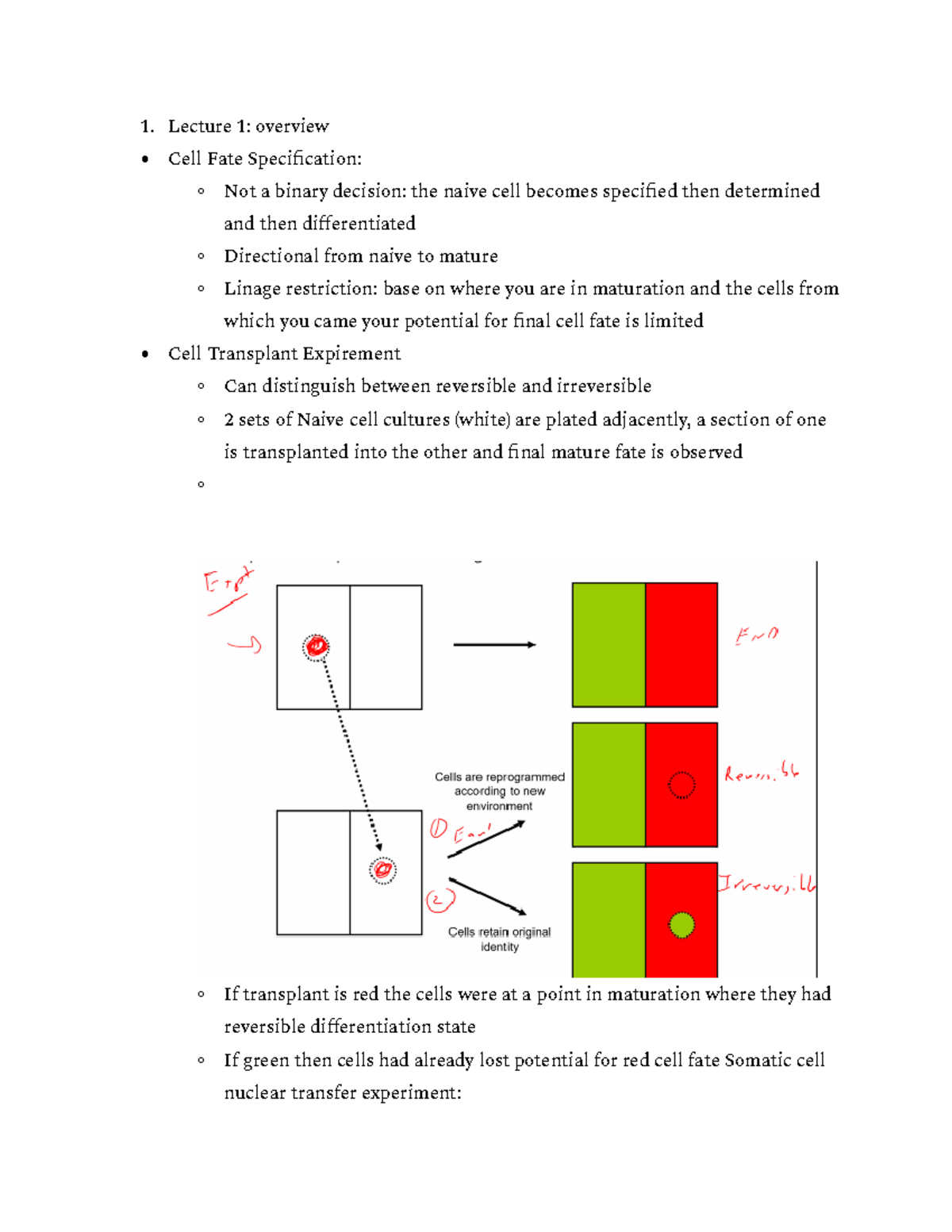 Dev Bio (1st half of semester) - Lecture 1: overview Cell Fate ...