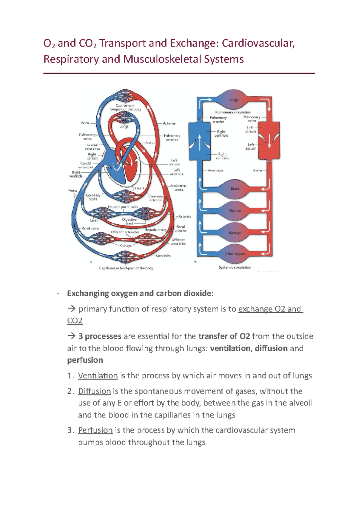 O2 and CO2 Transport and Exchange CRMS - O 2 and CO 2 Transport and ...