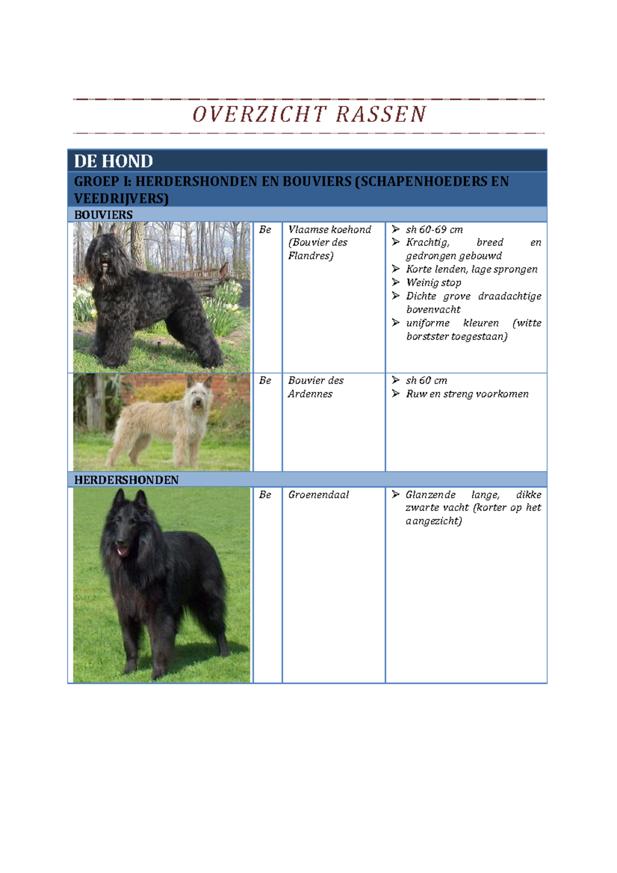 Samenvatting Rassenleer 2 - OVERZICHT RASSEN DE HOND GROEP I ...