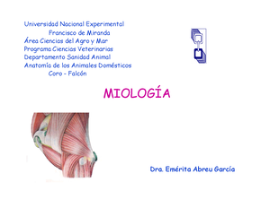 Guía Práctica - Músculos del Cuello - TEORICO PRÁCTICO MÚSCULOS AXIALES ...