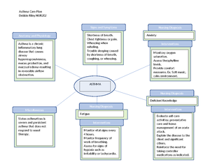 SBAR Care Plan example - SBAR/ Care Plan / Debrief Sara Lin VSIM ...