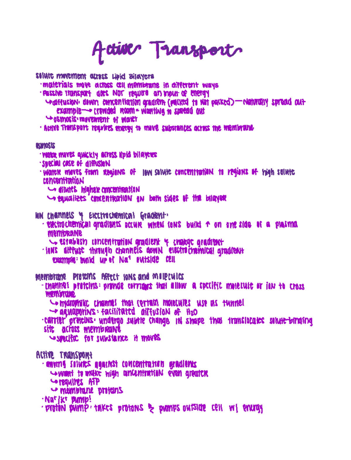 Bio Notes Active Transport - quiver Fransportnport solutemovement ...