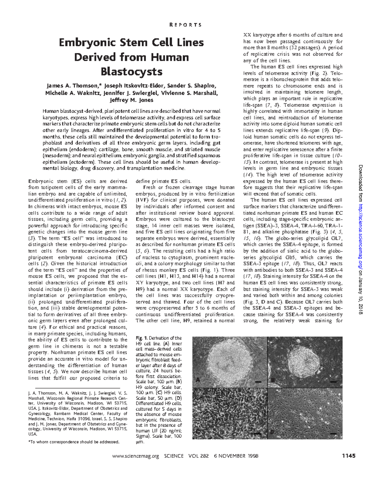 10S Embryonic Stem Cell Lines - Embryonic Stem Cell Lines Derived from ...