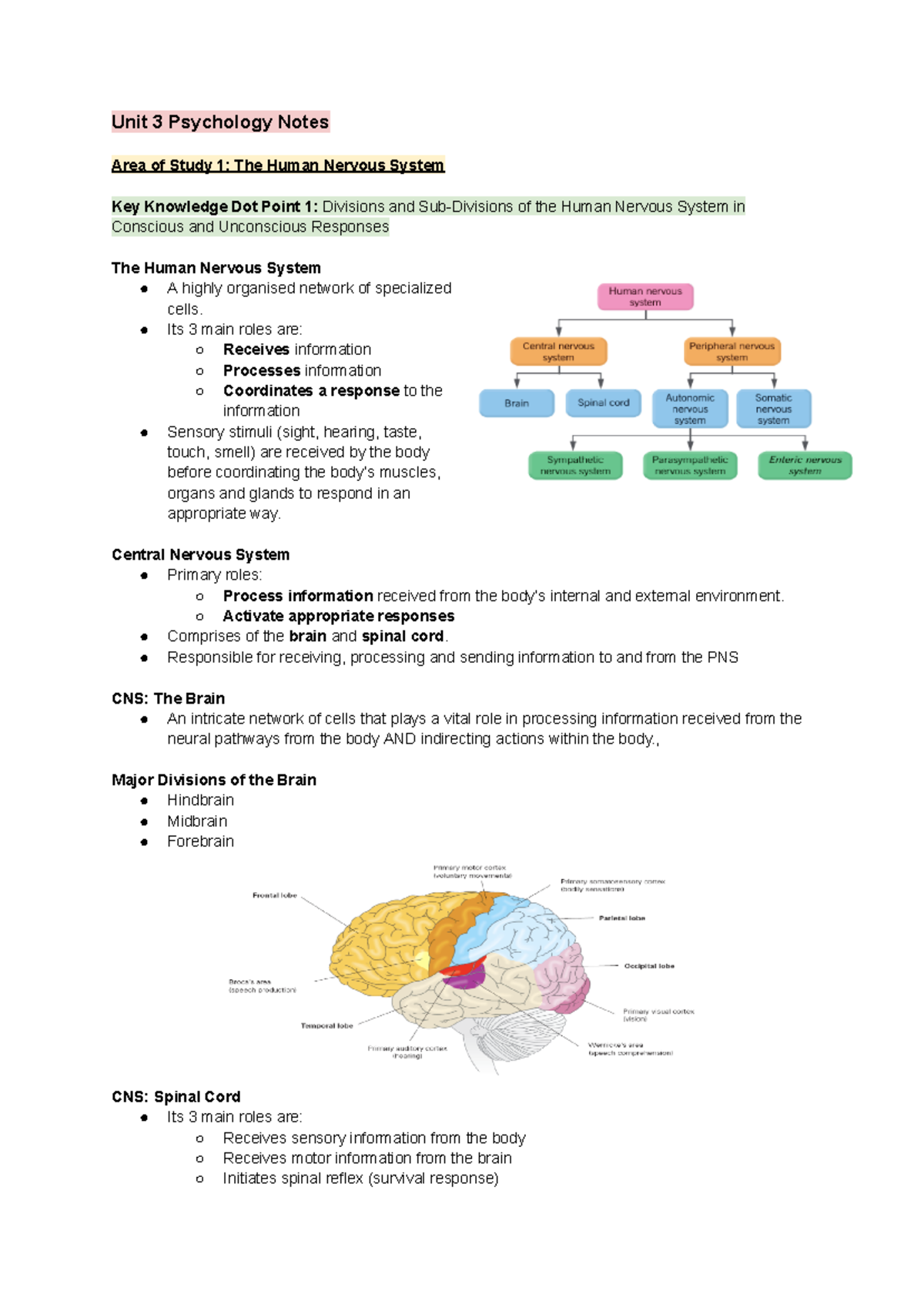 Unit 3 Psychology Notes - Unit 3 Psychology Notes Area of Study 1: The ...
