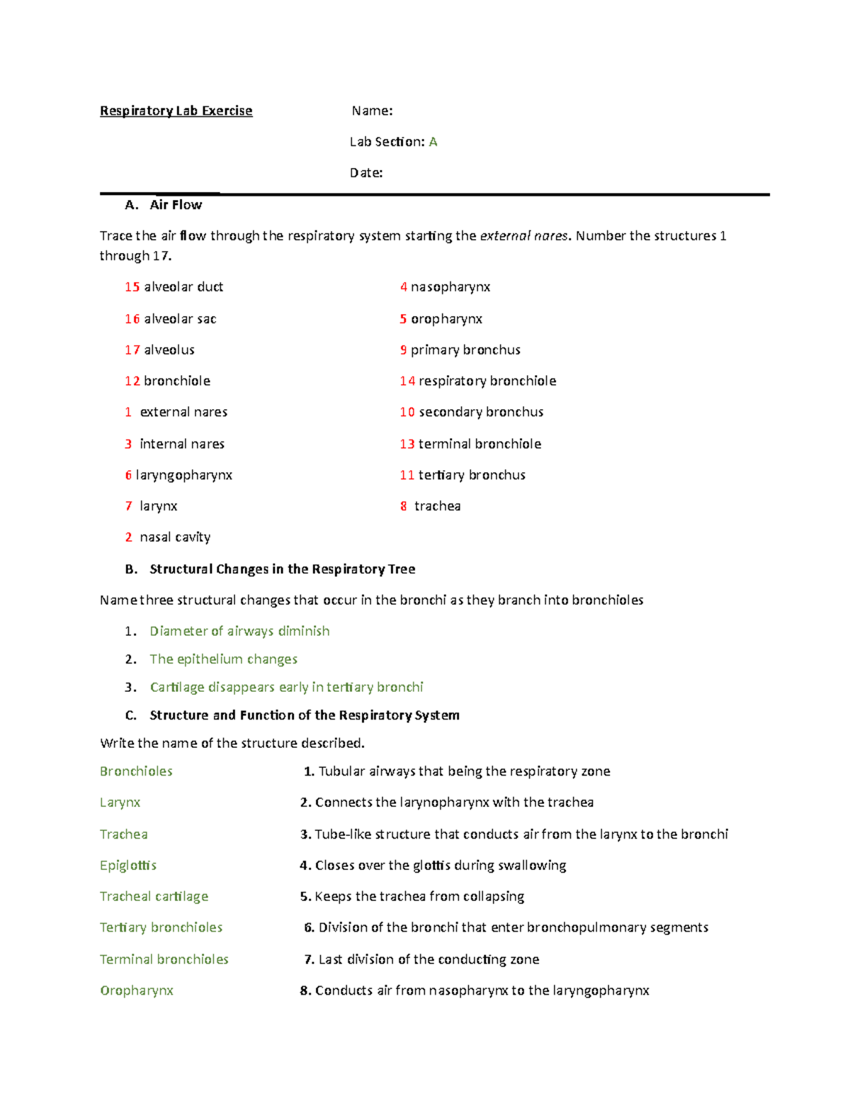 Respiratory Lab Worksheet. completed - Respiratory Lab Exercise Name: Lab Section: A Date: A ...