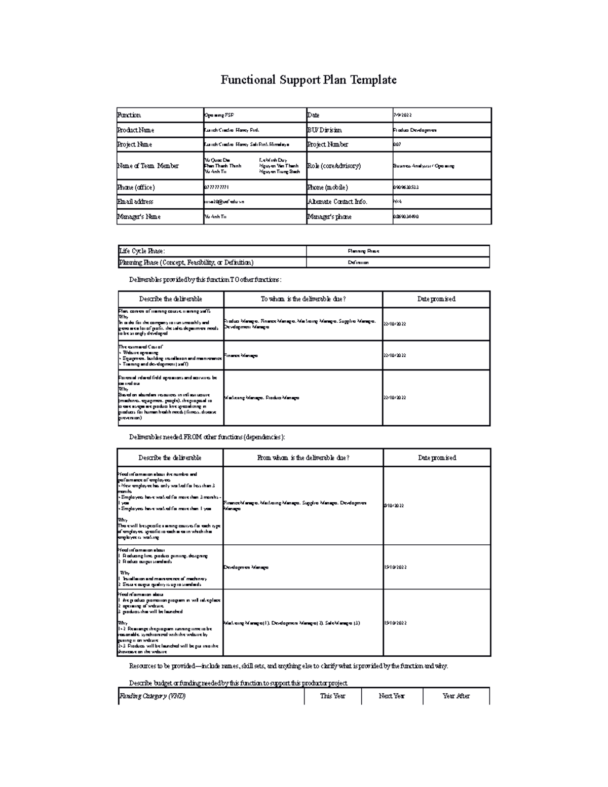 Functional Support Plan Template - Functional Support Plan Template ...