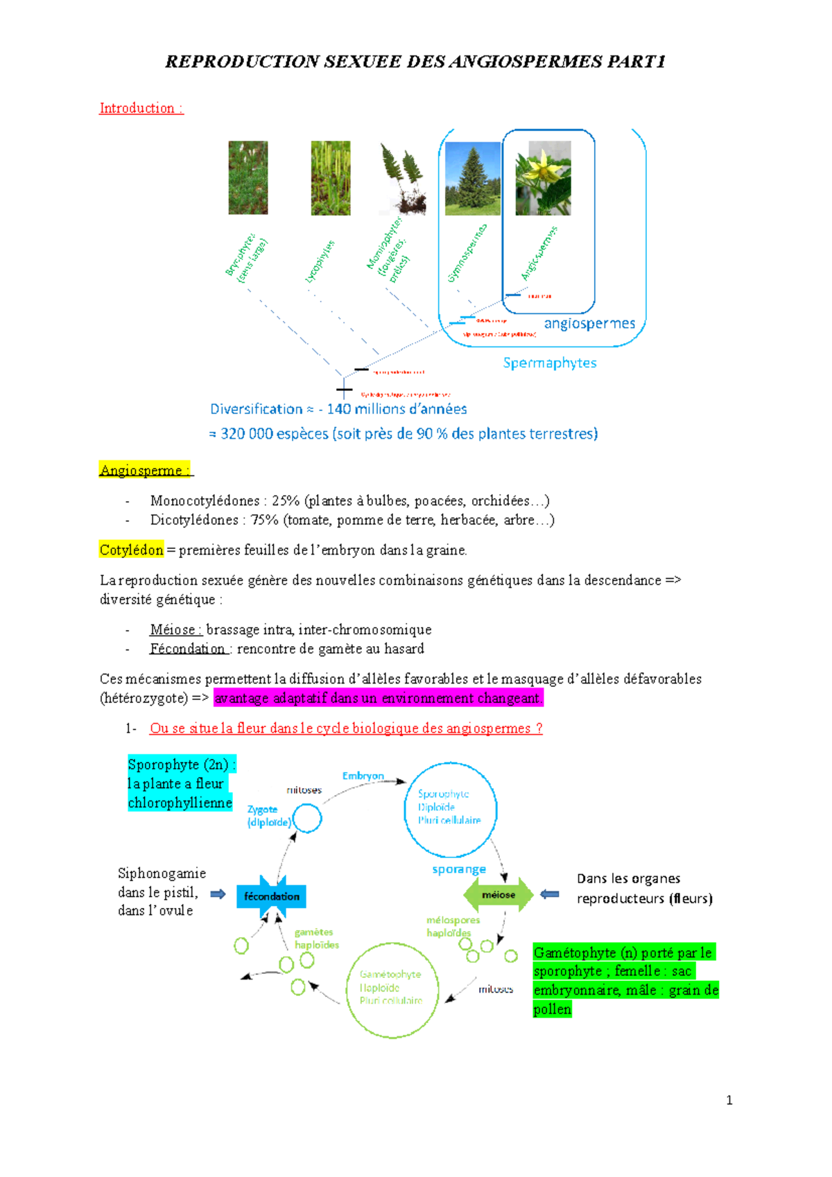Reproduction sexuée des angiospermes PART1 - Introduction : Angiosperme ...