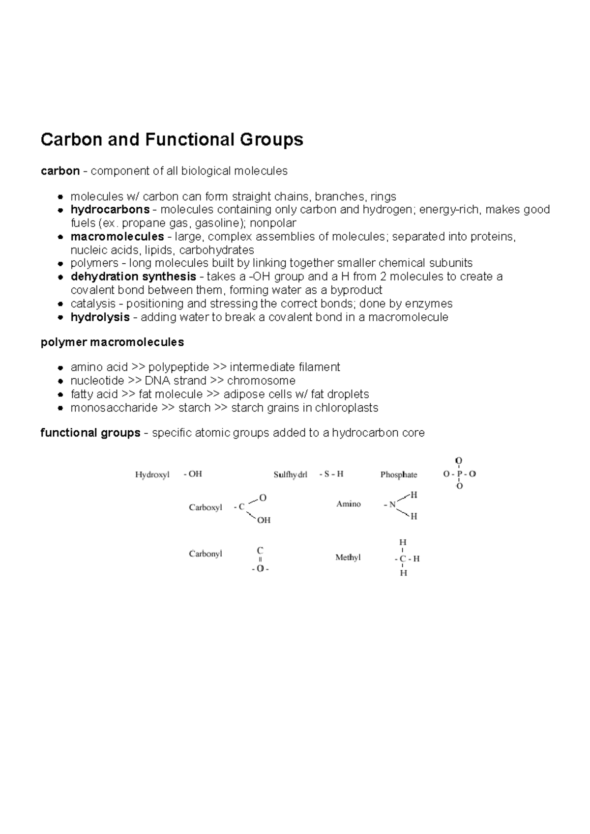 Carbon and Functional Groups - Carbon and Functional Groups carbon ...