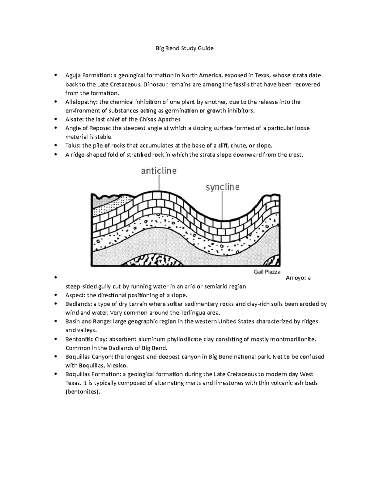 Big Bend Study Guide - Summary Regional Field Studies - Big Bend Study ...
