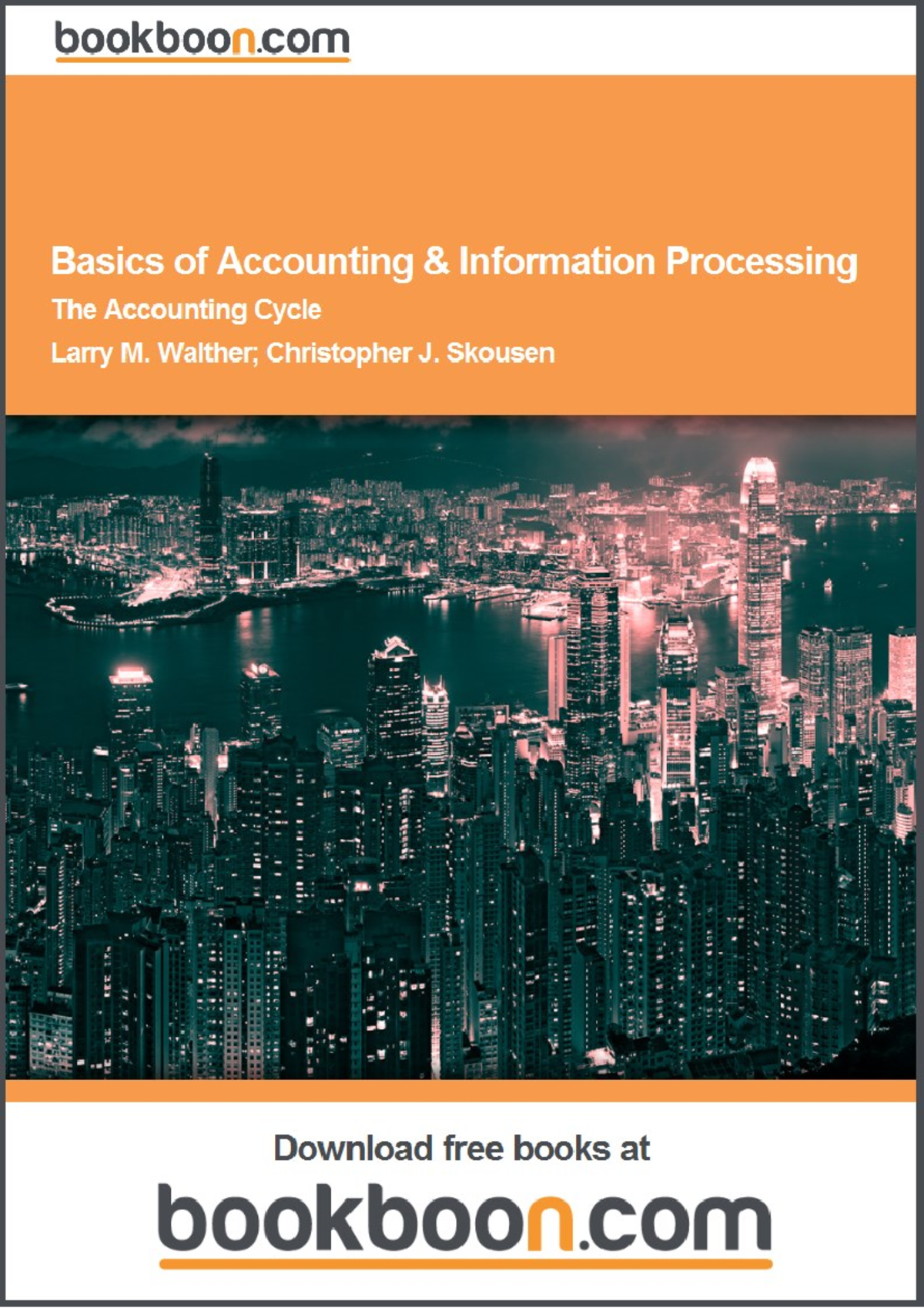 Basics of accounting information processing - Download free ebooks at ...