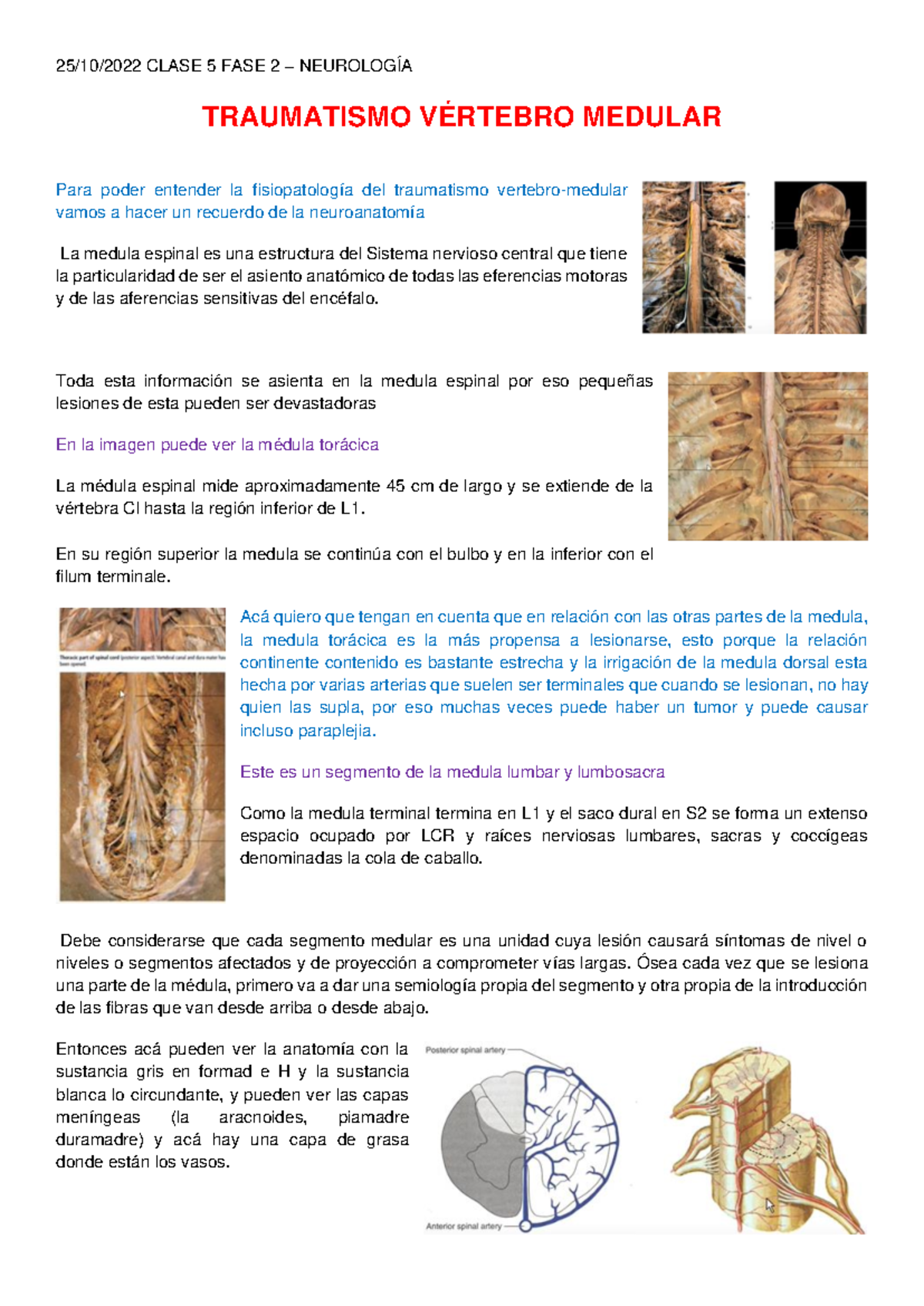 Clase 5 FASE 2 - Traumatismo Vértebro Medular - TRAUMATISMO VÉRTEBRO MEDULAR Para poder entender ...