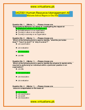 MGT301 Midterm FILE 2 Solved BY TEAM HADI download (VUStudentspk ...