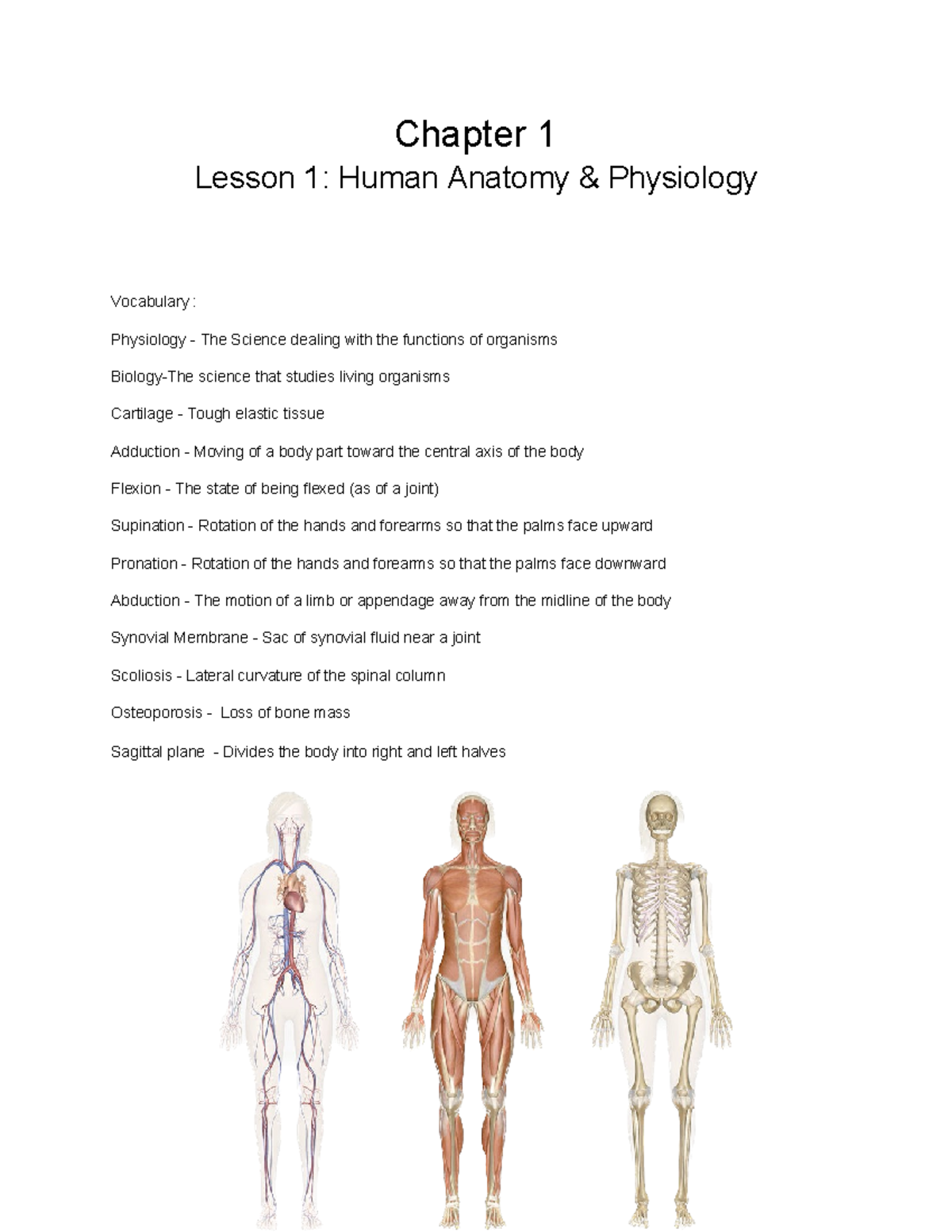 Chapter 1 Human Anatomy 2 - Chapter 1 Lesson 1: Human Anatomy ...