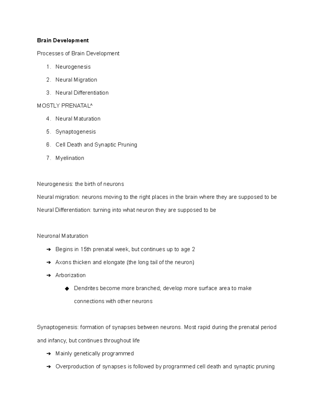 Developmental Psych - 2/3 - Brain Development Processes of Brain ...