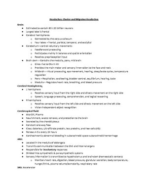 Cardio Patho - Abdominal Aortic Aneurysm Also known as AAA Focal ...