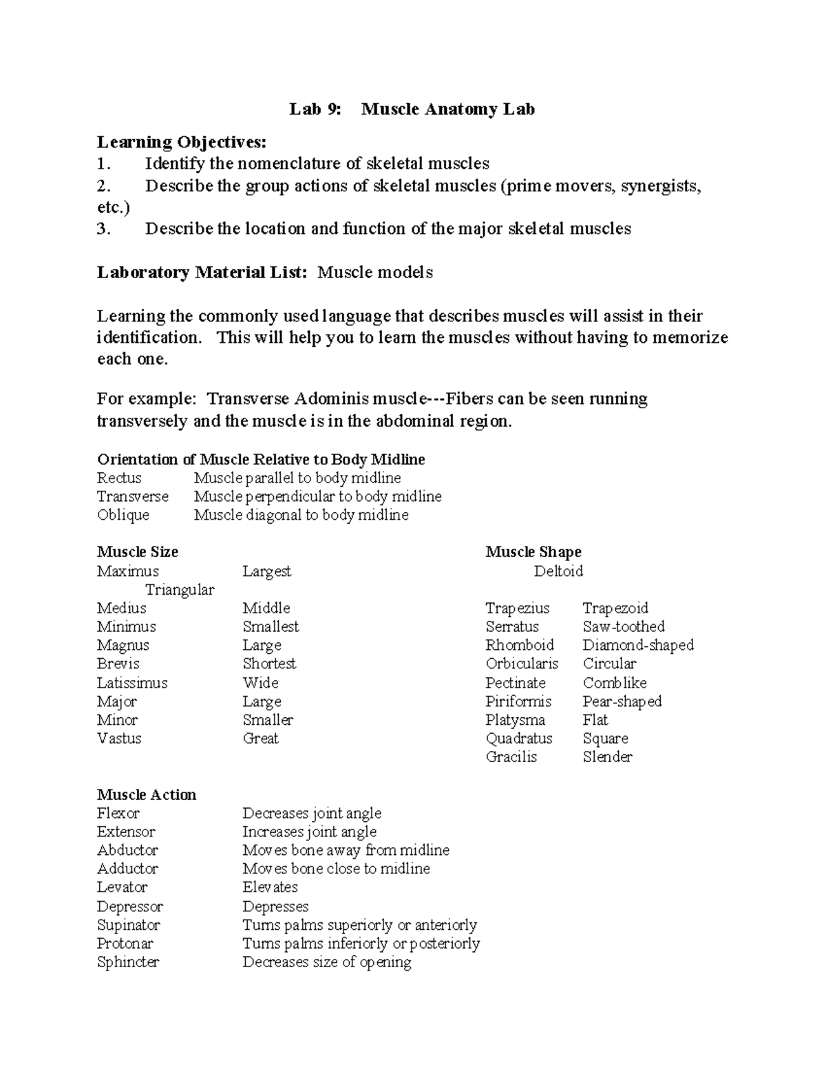 Muscle Lab - bio lab - Lab 9: Muscle Anatomy Lab Learning Objectives: 1 ...